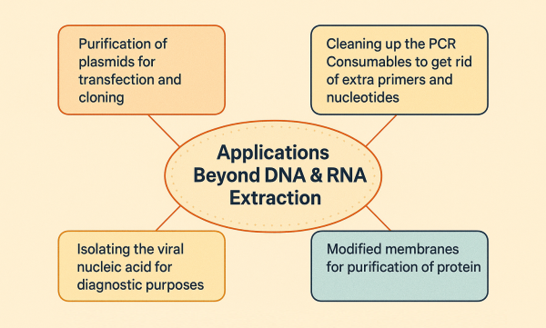 How Spin Columns Work in Nucleic Acid Purification: A Step-by-Step ...